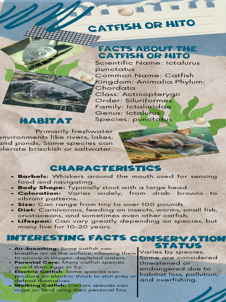 Activity Fish 1 Asis 1 | PDF | Home & Garden | Wellness