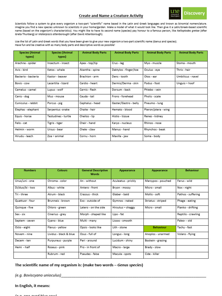 Create and Name A Creature Sheet | PDF