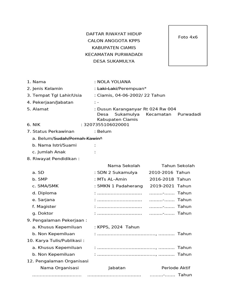 Salinan 1. Template - Daftar Riwayat Hidup Kpps Pilkada 2024 - Use Kpps | PDF