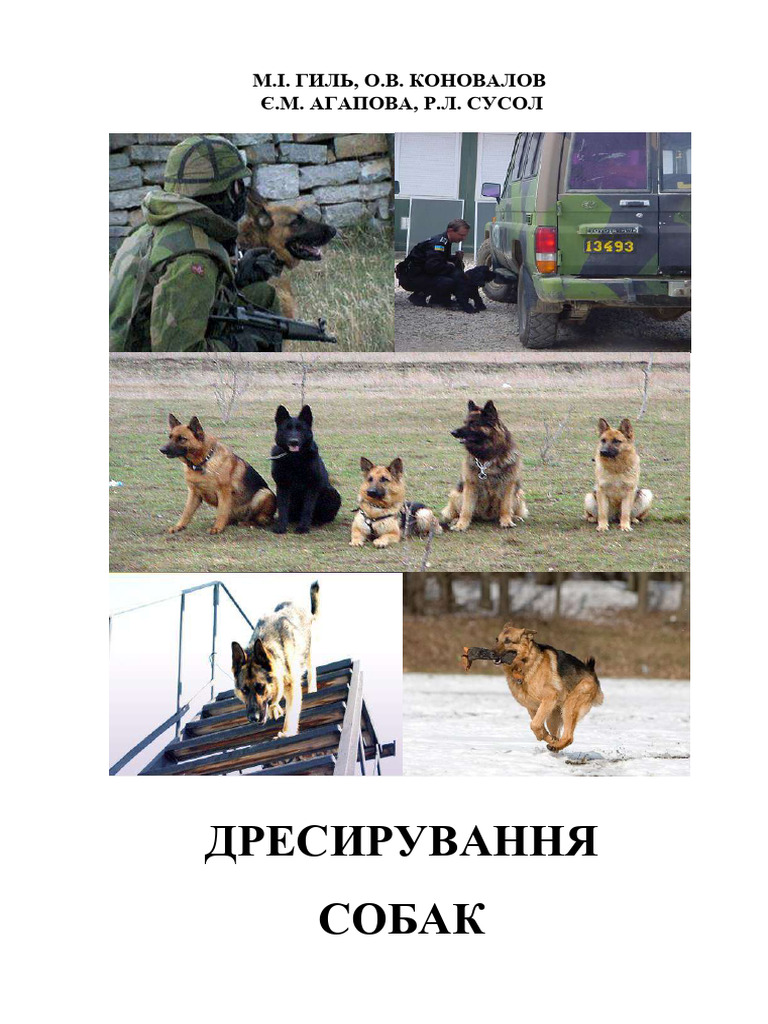 Navch Pos Dresyruv Sob | PDF