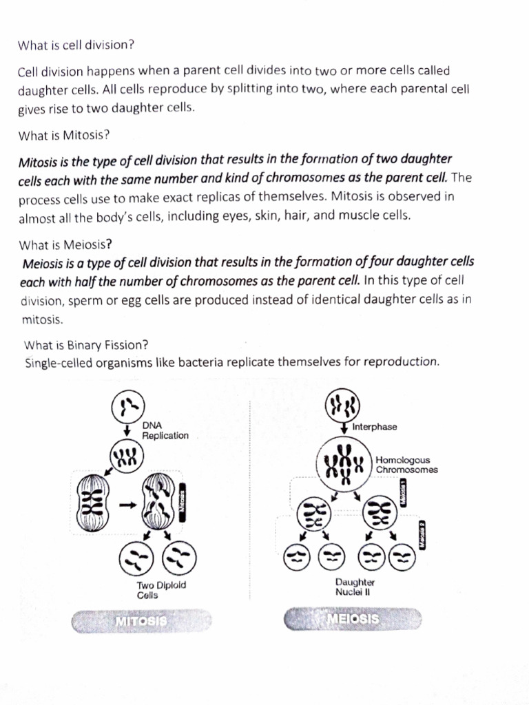 Cell Division 9th | PDF | Mitosis | Meiosis