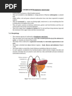 Cockroach Ncert | PDF