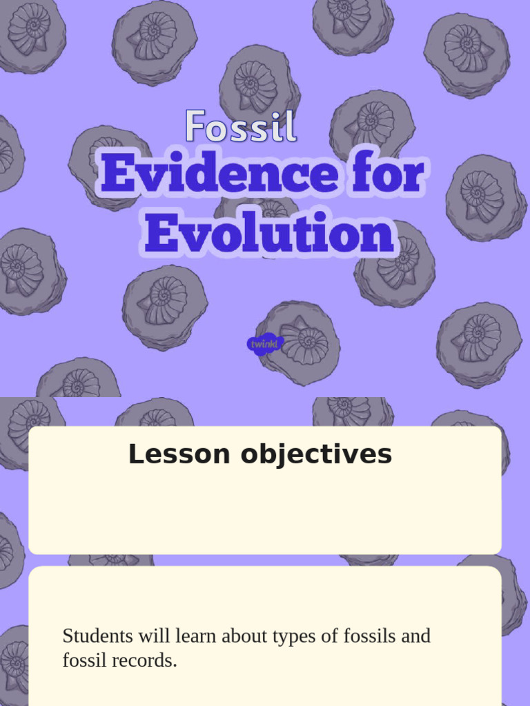 Fossil Evidence of Evolution | PDF