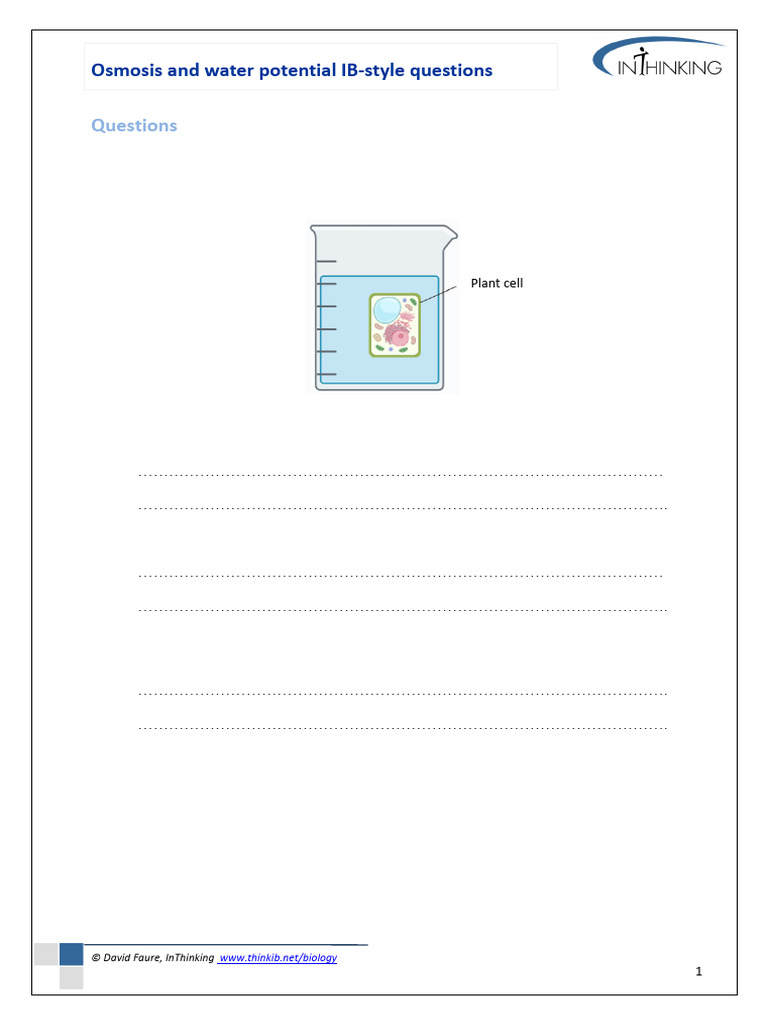 IB Biology: Osmosis & Water Potential Questions | PDF