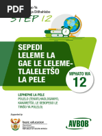 Grade R activity-guide-term-2-cover_sepedi_print | PDF | Procedural ...