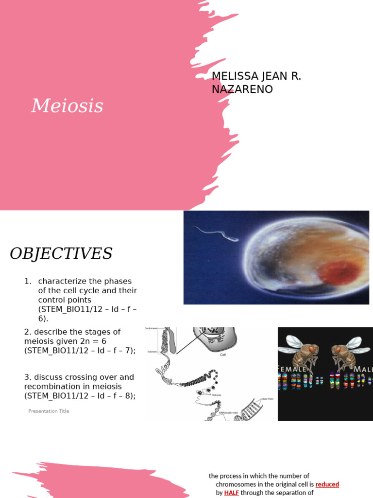 Meosis (1) | PDF | Meiosis | Ploidy