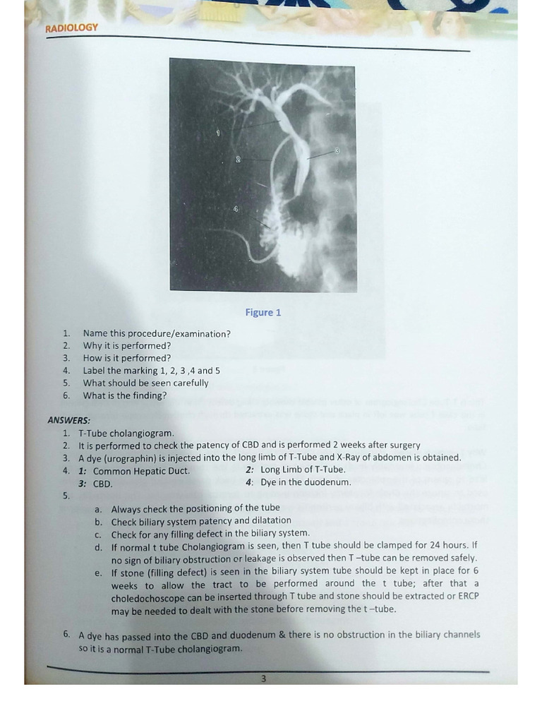 XRAYS SURGERY(2) (1) | PDF