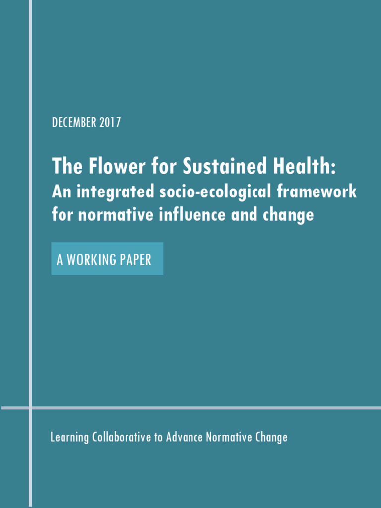 LC Conceptual Framework FINAL ENG-połączono | PDF | Attitude ...