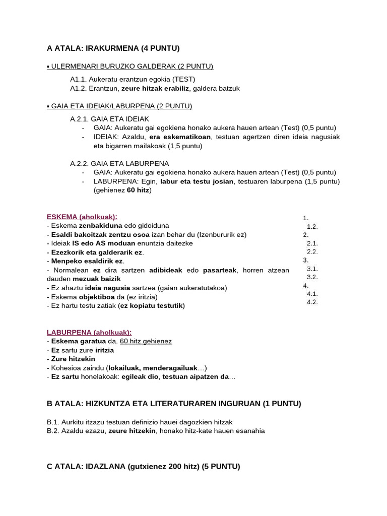 Selectividad - Euskara Eta Literatura Ii Azterketa | PDF