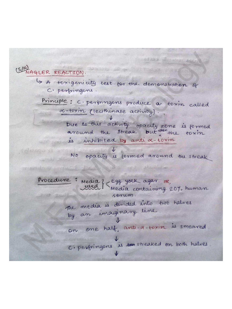 Gas Gangrene Part 3 | PDF
