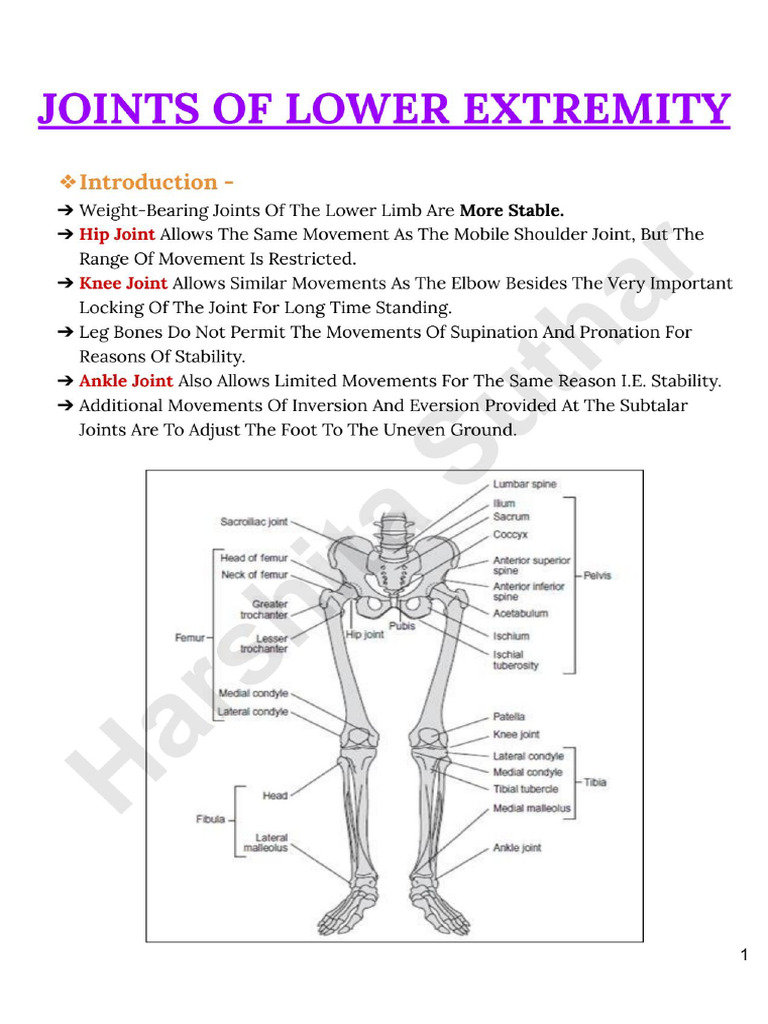 Sample Notes of Joints of Lower Extremity 1728899712 | PDF