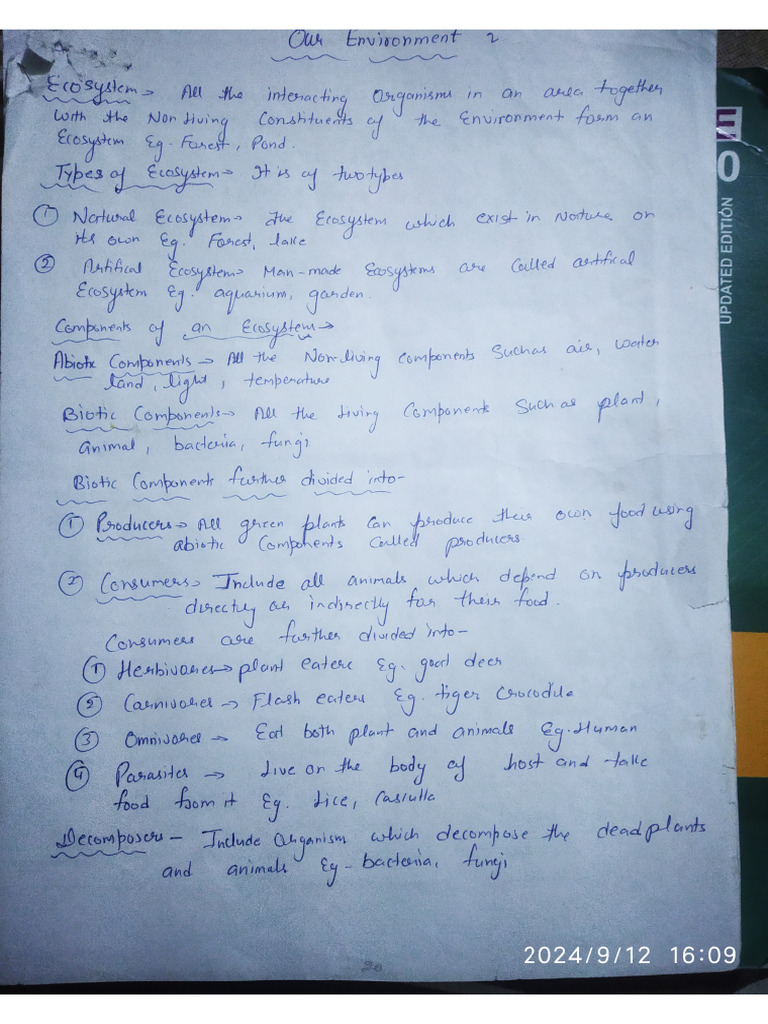 Our Environment (Notes) | PDF