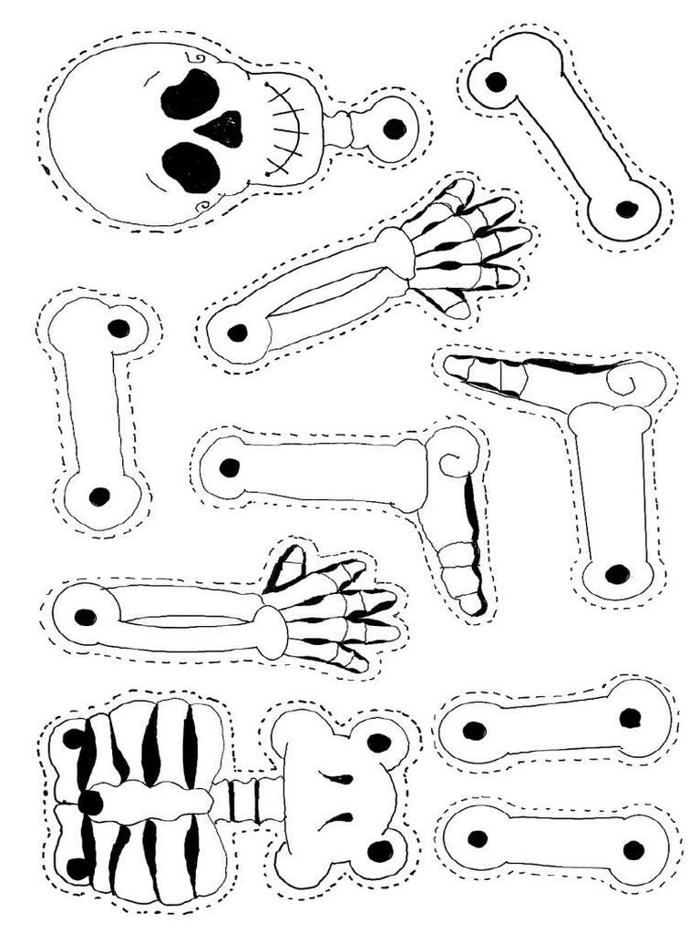 El Esqueleto Humano Armable | PDF