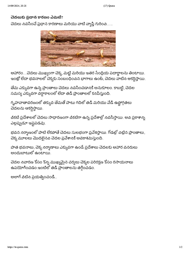 Anti-Termite Treatment | PDF