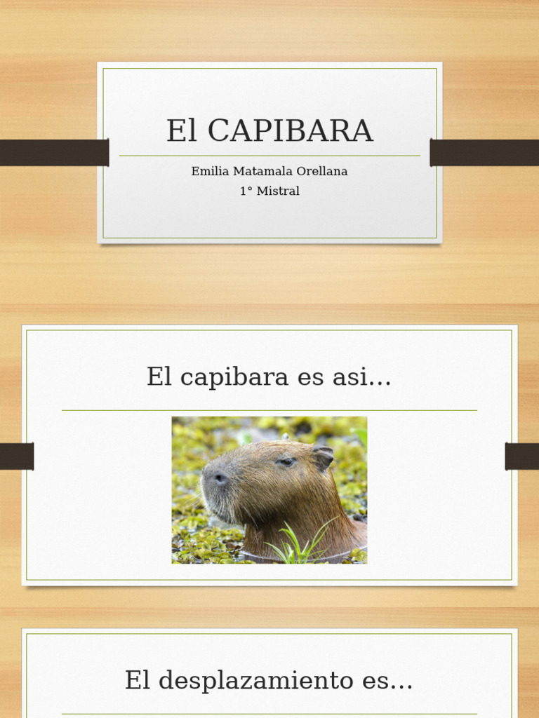 CAPIBARA | PDF