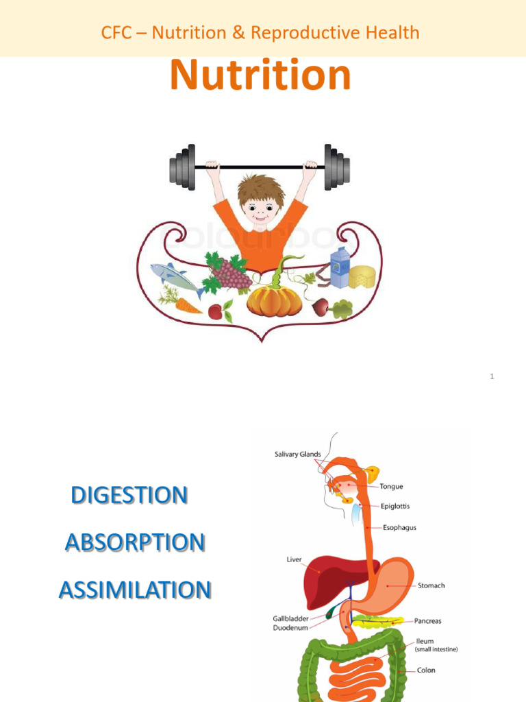02 Digestion Absorption Assimilation | PDF | Digestion | Human ...