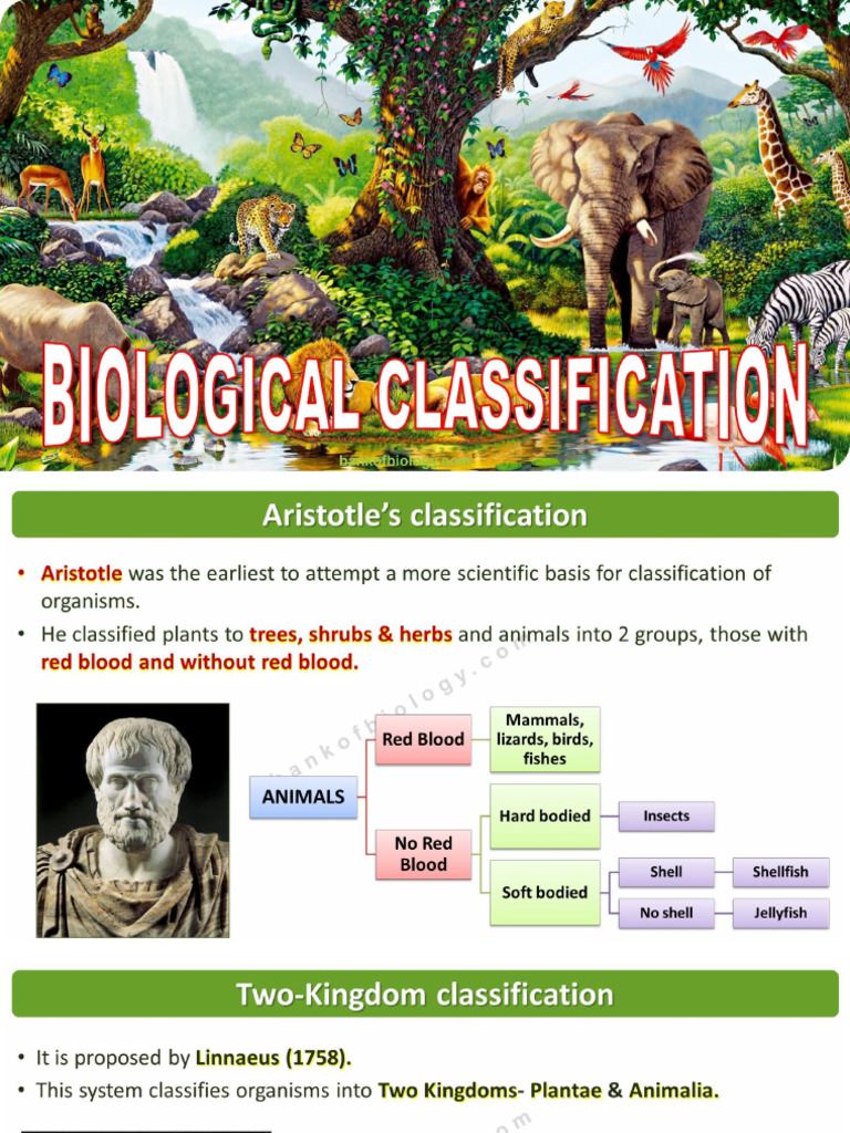 2 Biological Classification Class 11 - Picture Slides - Demo | PDF