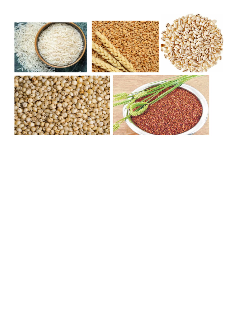 Food Grains | PDF