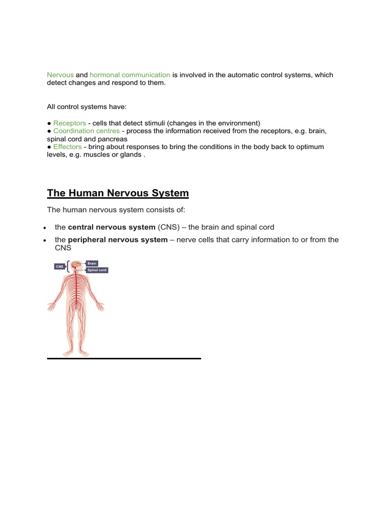 Gcse1 Nervous System | PDF | Stimulus (Physiology) | Nervous System