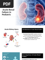 Kidney Stone Report | PDF