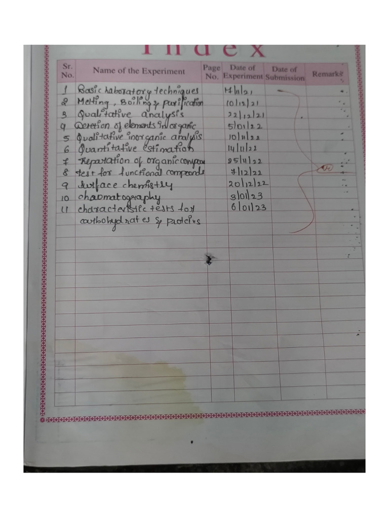 Chemistry Record Example ?? | PDF