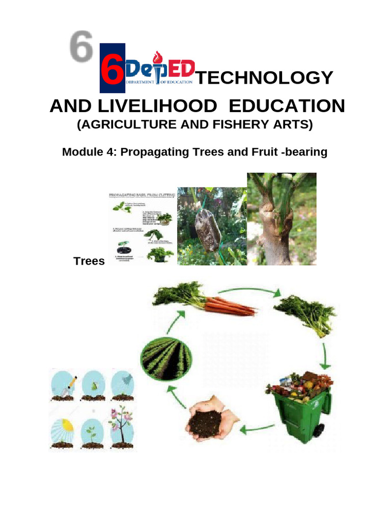 TLE-6-AGRI-Module-4 | PDF | Grafting | Seed
