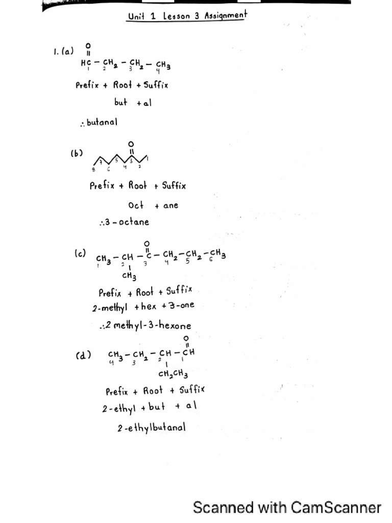 Elenca Kywe Unit 1 Lesson3 Assignment | PDF