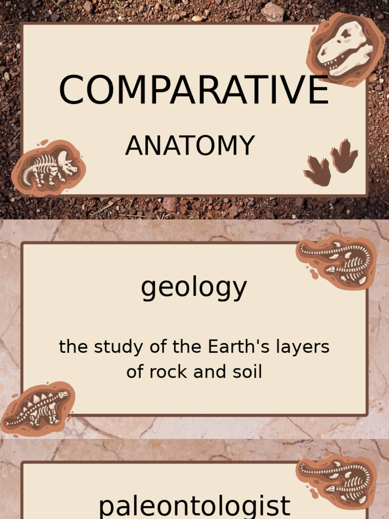 Comparative Anatomy and Evolution Insights | PDF | Social Science
