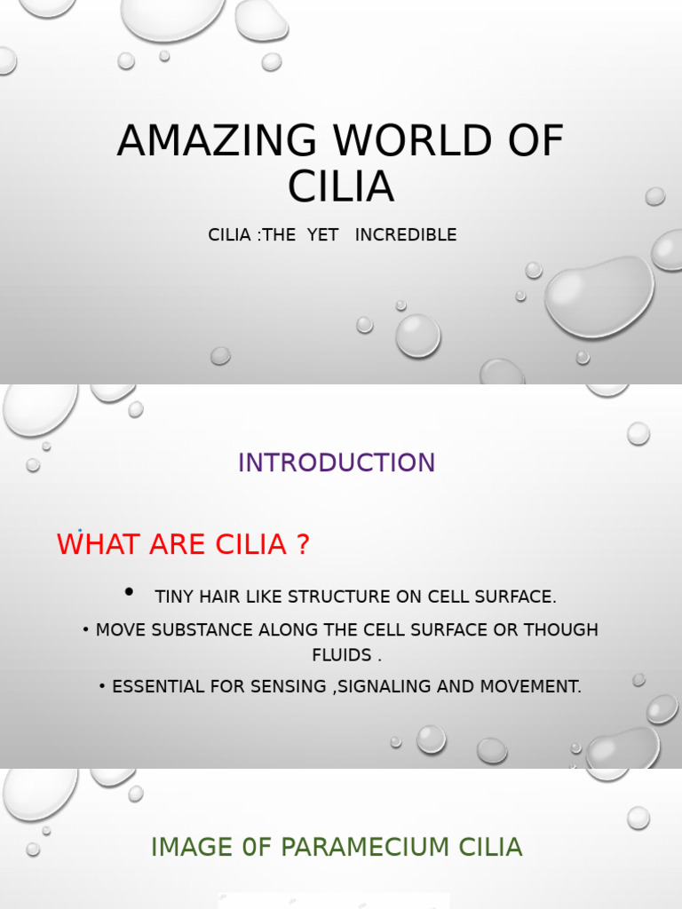 Amazing World of Cilia | PDF | Cell Anatomy | Cell Biology