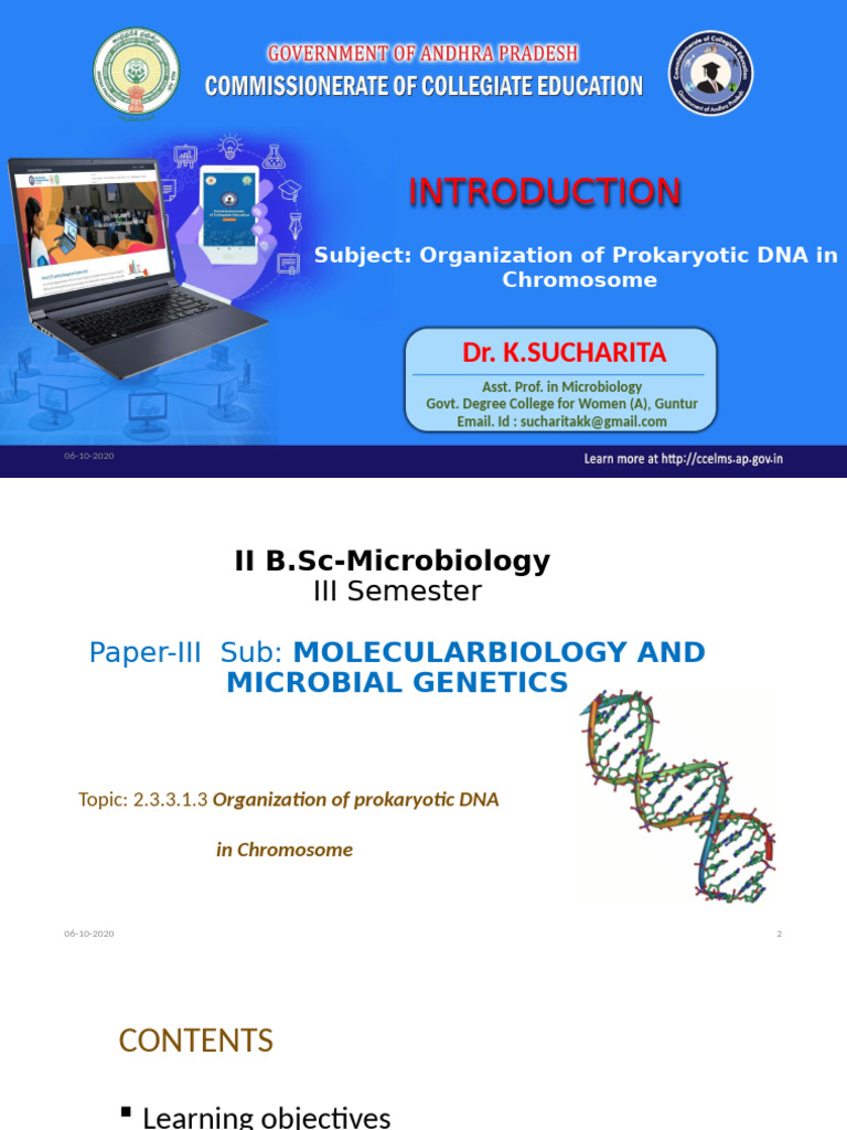 Bacterial Genome | PDF | Prokaryote | Chromosome