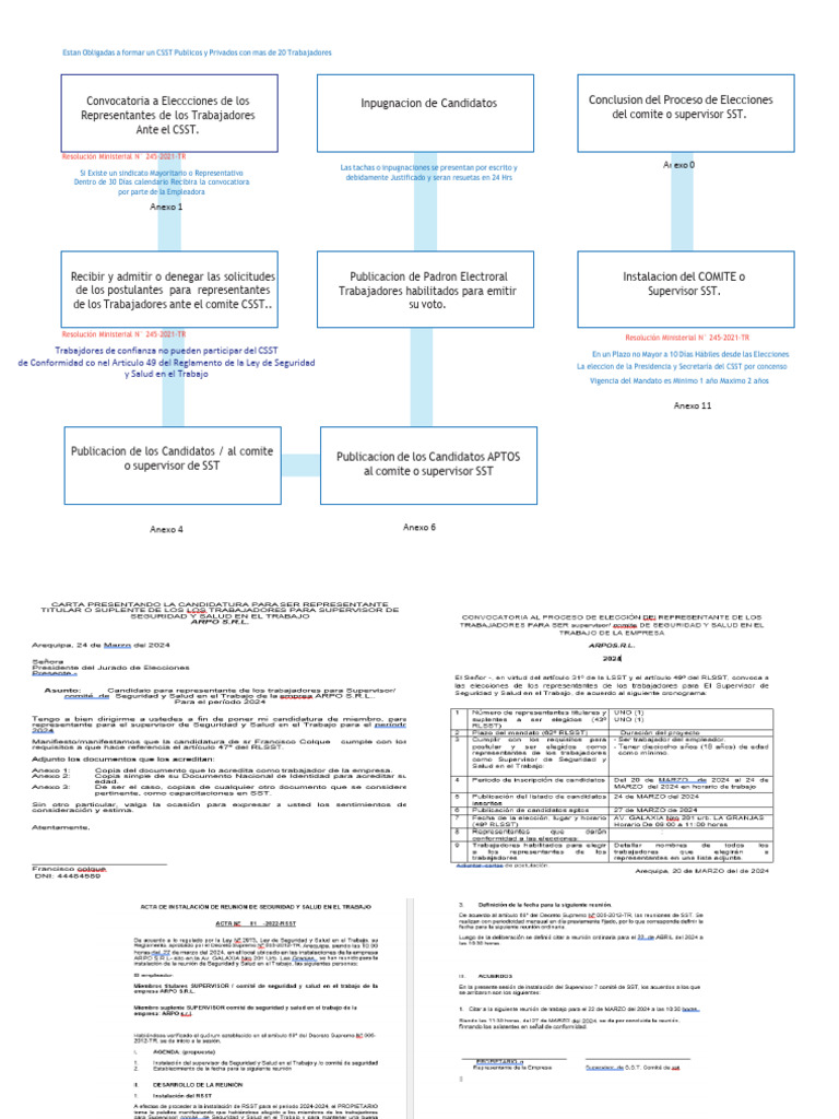 Flujograma Comite SST 2[1] | PDF | Gobierno | Elecciones