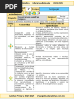 RX de Pie | PDF | Pie | Extremidades (anatomía)