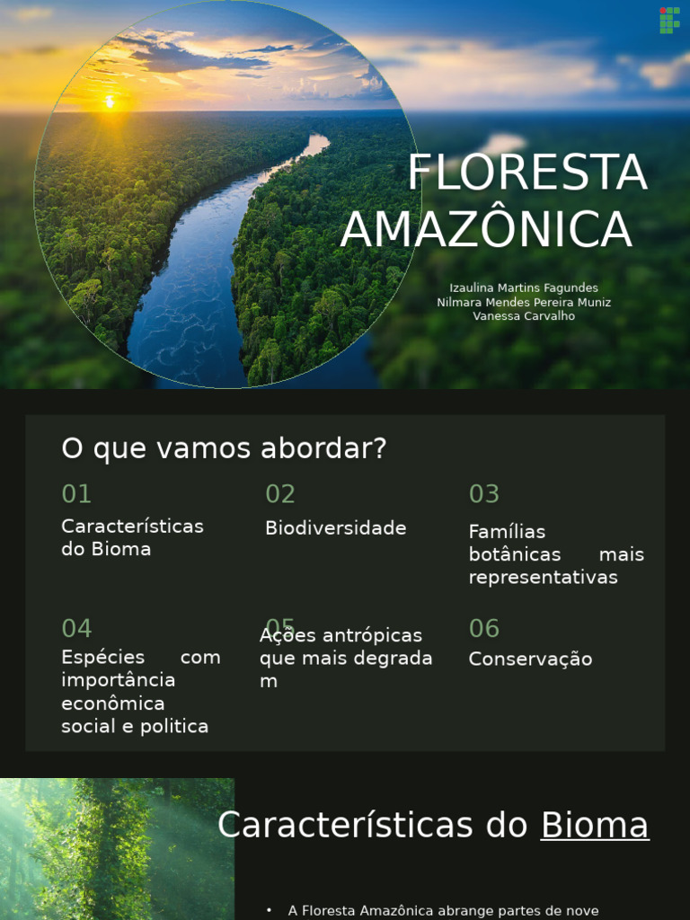 Floresta Amazônica - Slide Atualizado | PDF | Floresta Amazônica ...
