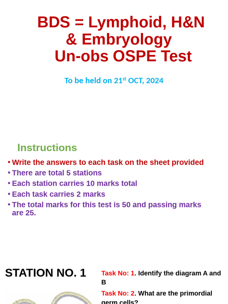 BDS H&N Embryology OSPE Test Guide | PDF | Anatomy | Reproduction