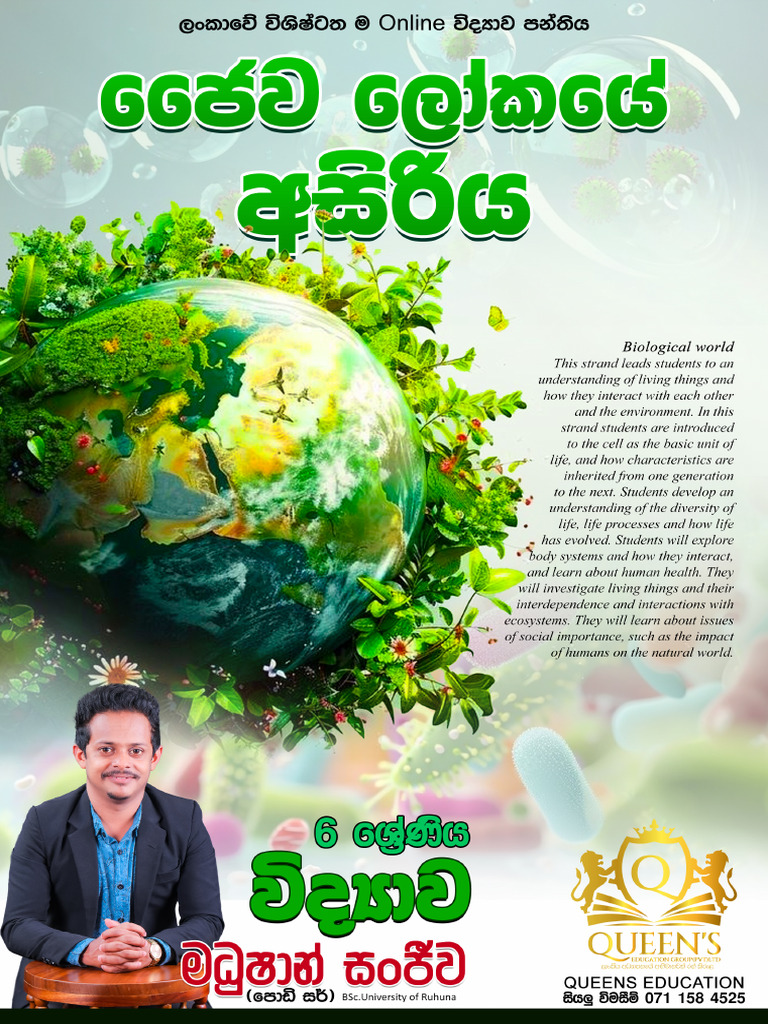 g6 2024 Lesson 1 - Theory, Practical Tute | PDF