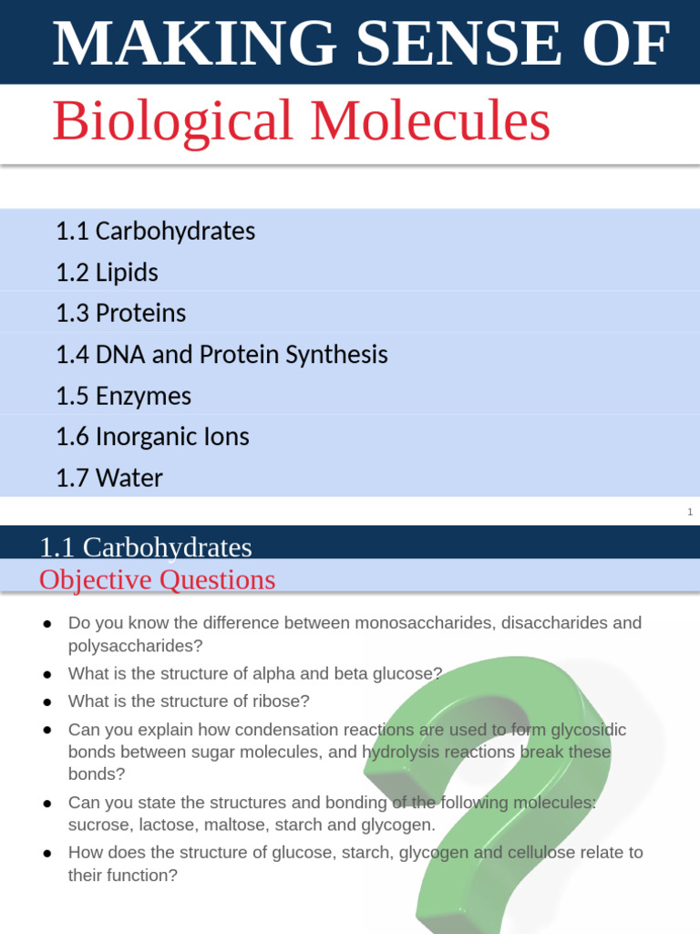 1.1 Carbohydrates (Mr. Exham) | PDF | Carbohydrates | Polysaccharide