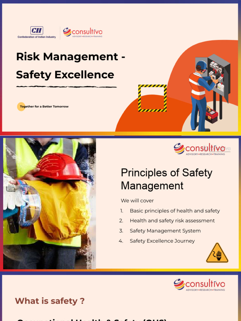 Risk Management for Safety Excellence | PDF | Risk | Hazards