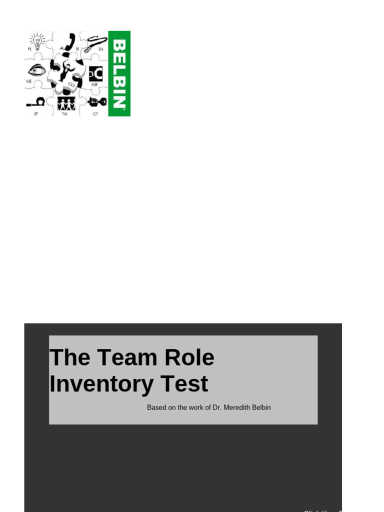Belbin Test - Thanh Vy | PDF | Psychological Concepts | Psychology