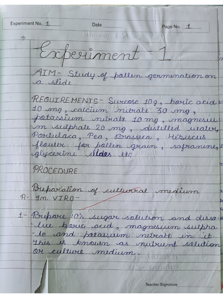 Class 12 Practicals | PDF