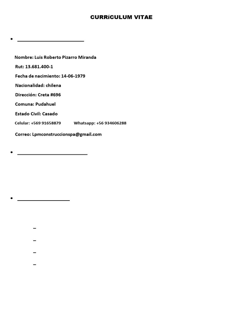 Curriculum Luis Pizarro | PDF