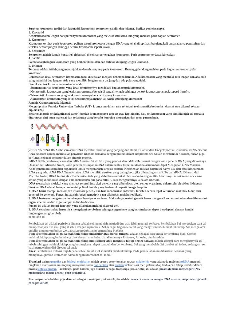 Struktur Kromosom Terdiri Dari Kromatid | PDF