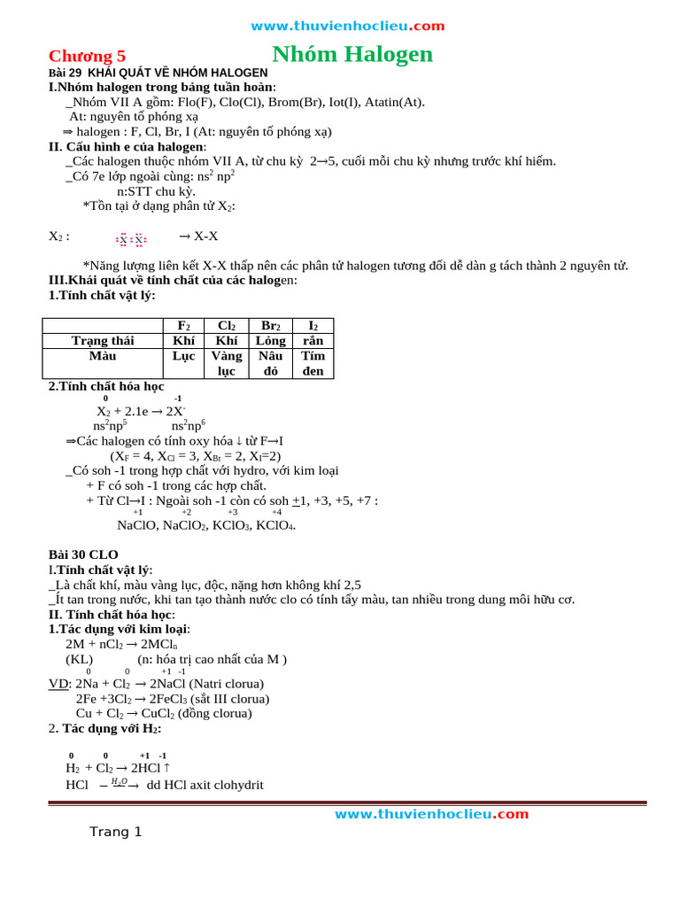 Nhóm Halogen: Chương 5 | PDF