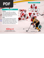 3discover Ice Hockey Reading Comprehension Sheets | PDF | Ice Hockey ...