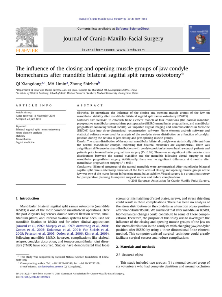 The Influence of The Closing and Opening Muscle Groups of Jaw Condyle ...