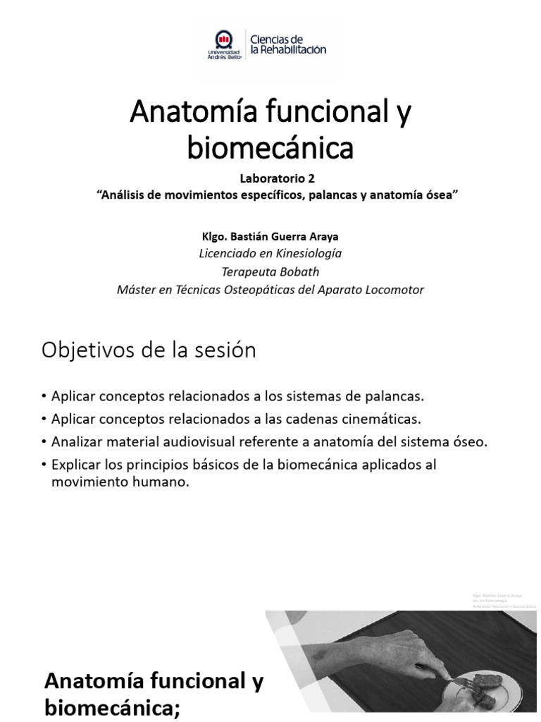 Clase 2 Anato Taller 2 | PDF | Palanca | Biomecánica