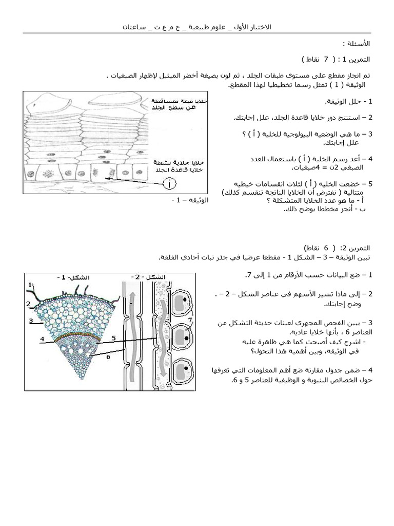 Sciences 1sci 1trim Archive - Exams | PDF