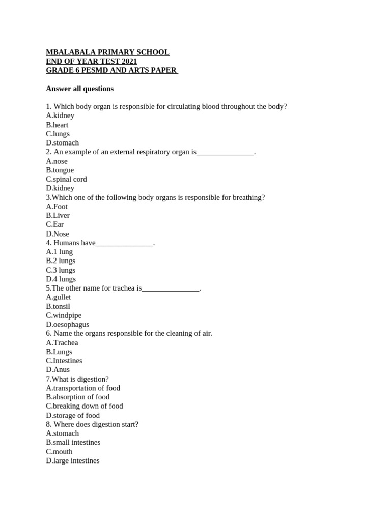 Grade 6 Pesmd and Arts Paper 1-1 | PDF | Lung | Respiratory System