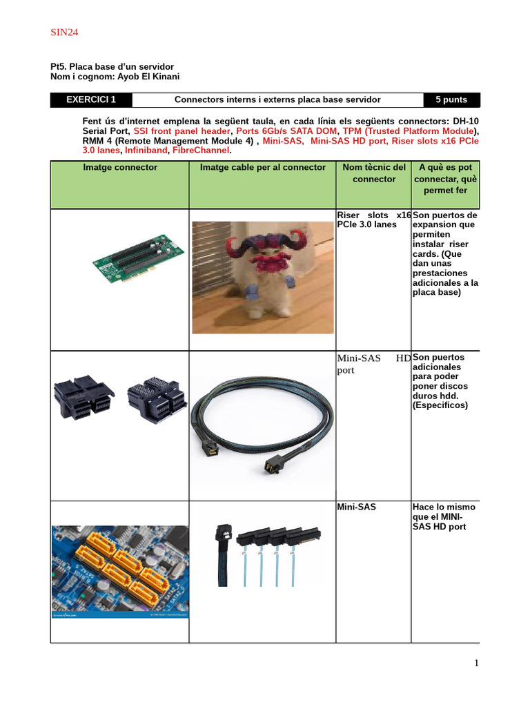Pt5. Placabase Servidor | PDF