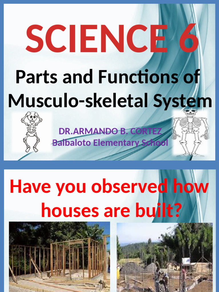 Grade 6 PPT Science Q2 W1 Day 1 | PDF | Bone | Vitamin D