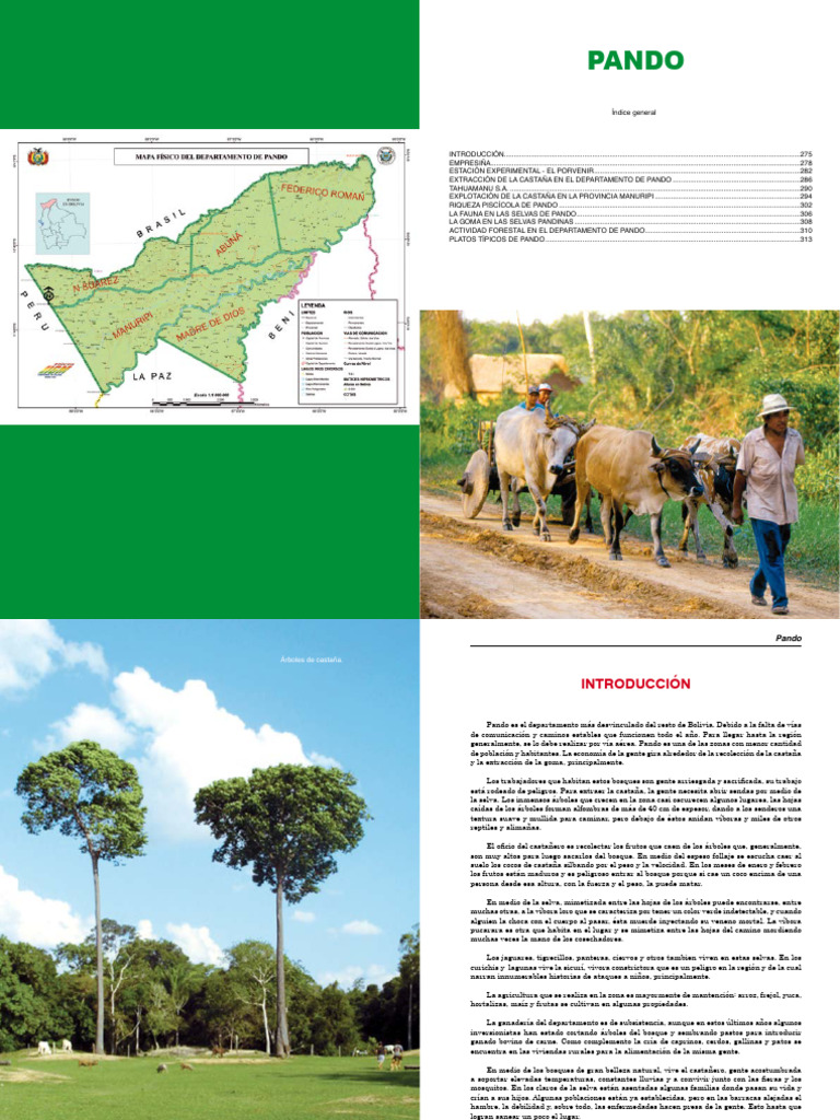 Pando | PDF | Bolivia | Agricultura